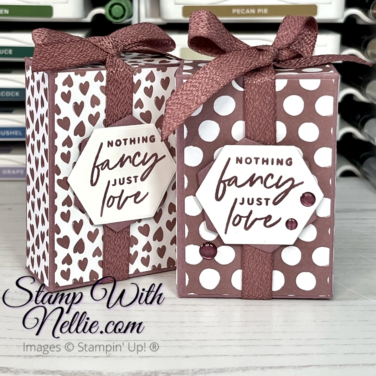 PocketBac gift box using Something Fancy bundle - Stamp with Nellie