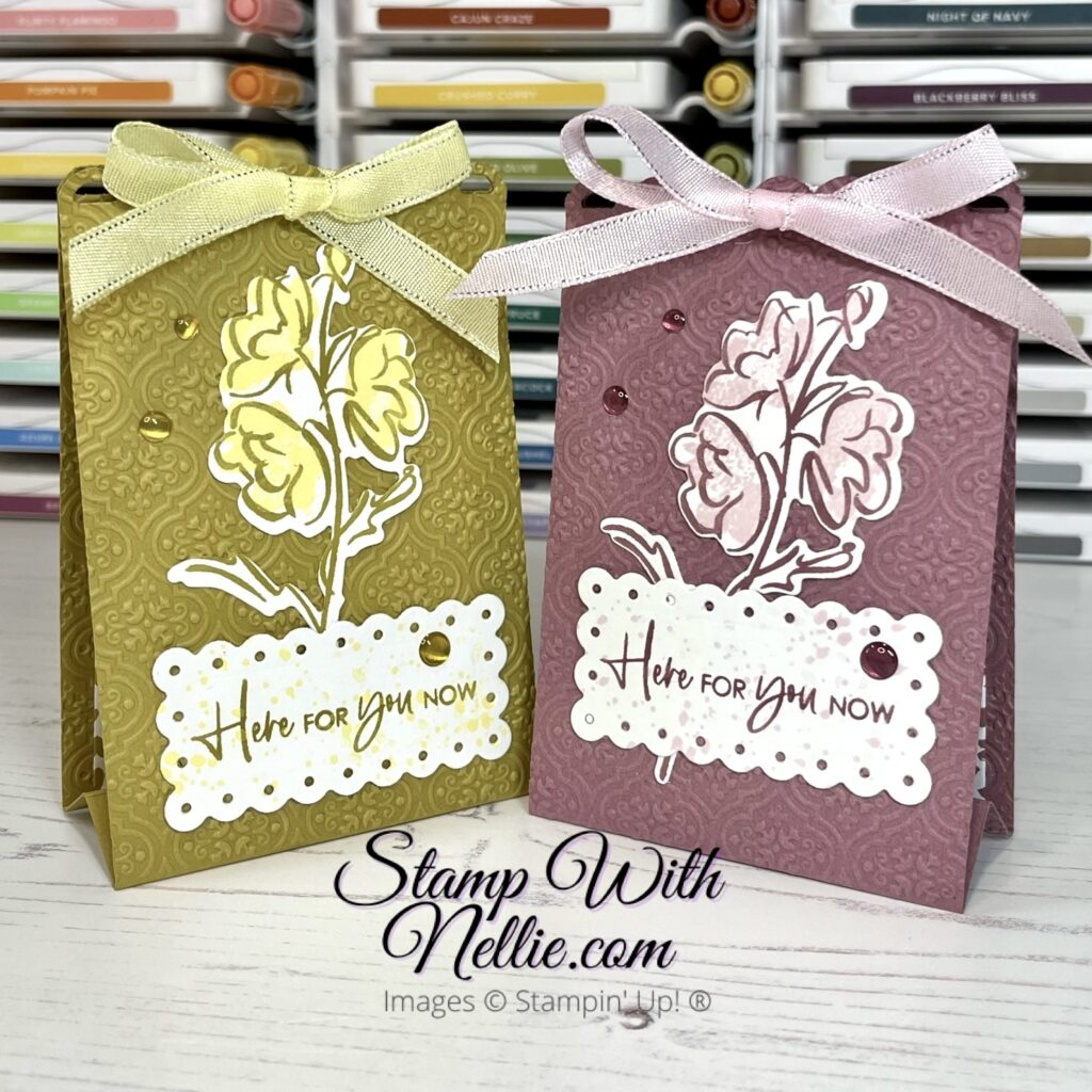 How to make a double pocket gift package - Stamp with Nellie