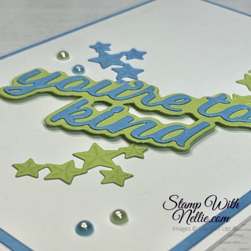 Clean and Simple You're Too Kind card - Stamp with Nellie