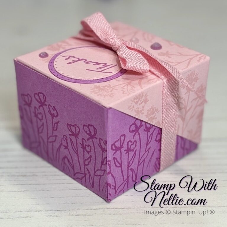 Two-Tone diagonal lidded box with 2024-2026 In Colors - Stamp with Nellie