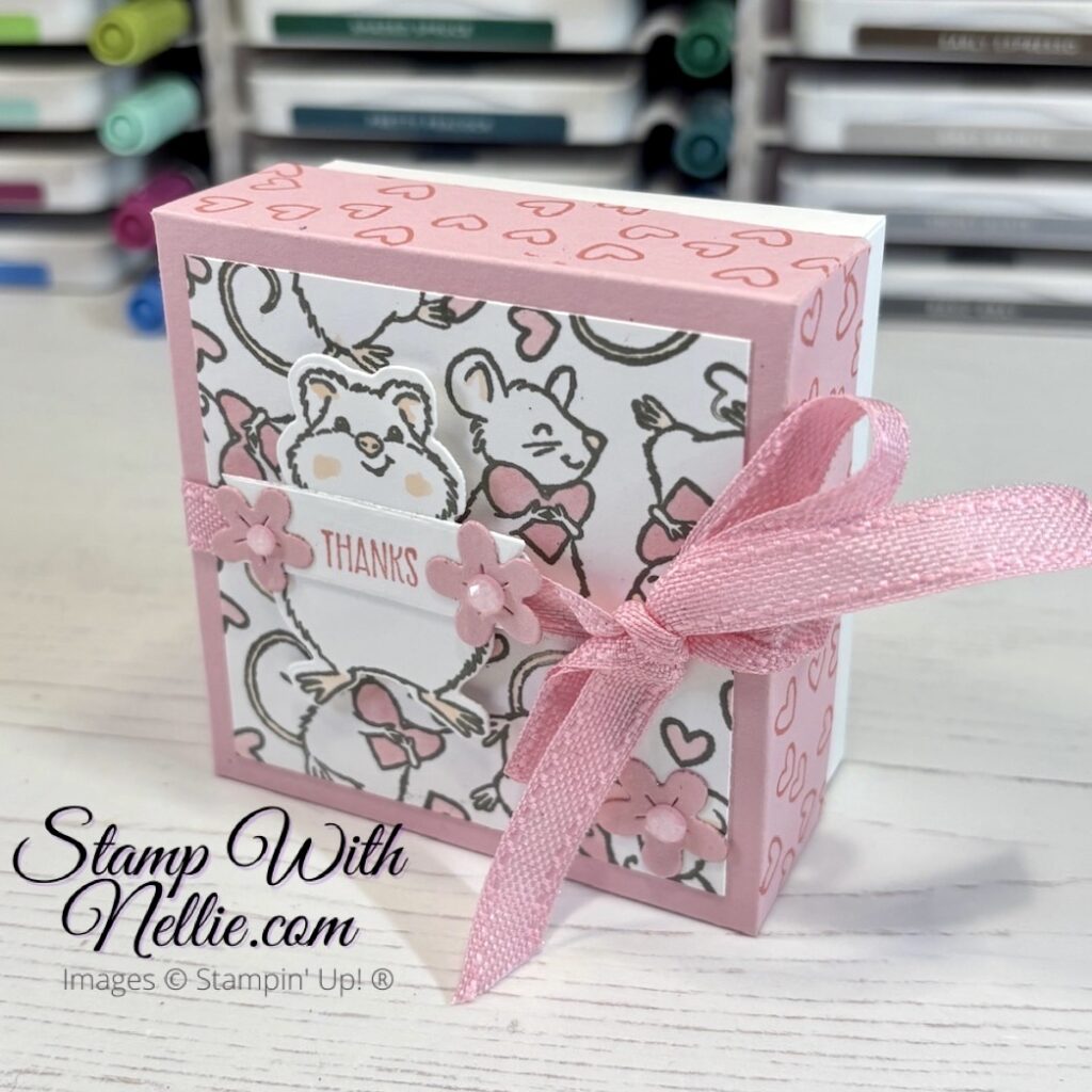 Animal themed gift box - tutorial - Stamp with Nellie